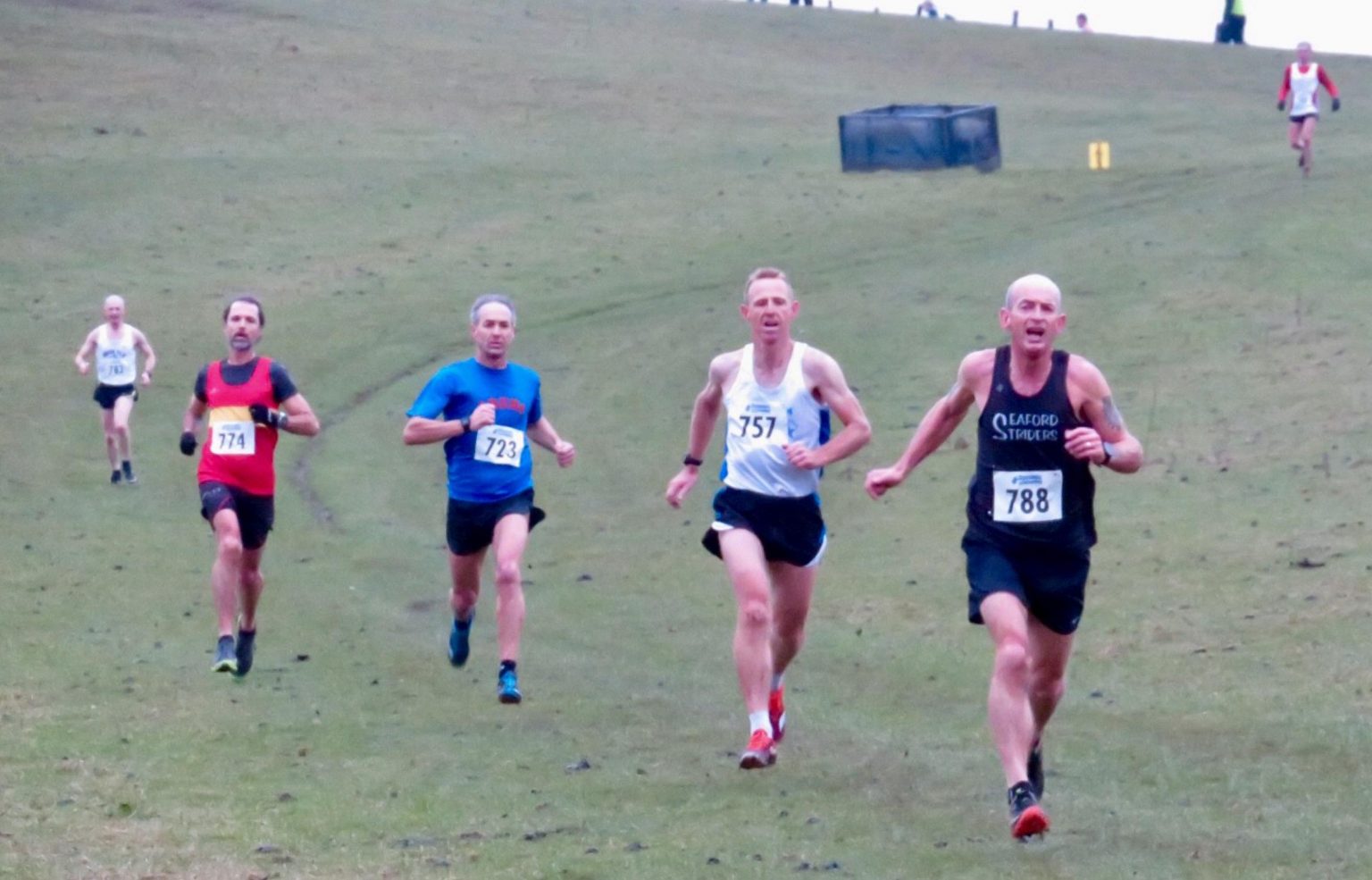 Races | Seaford Striders